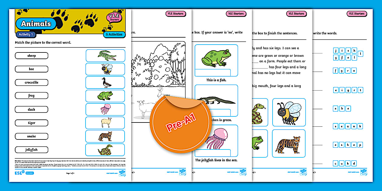 YLE Starters Animals Vocabulary Activity Sheet - Twinkl