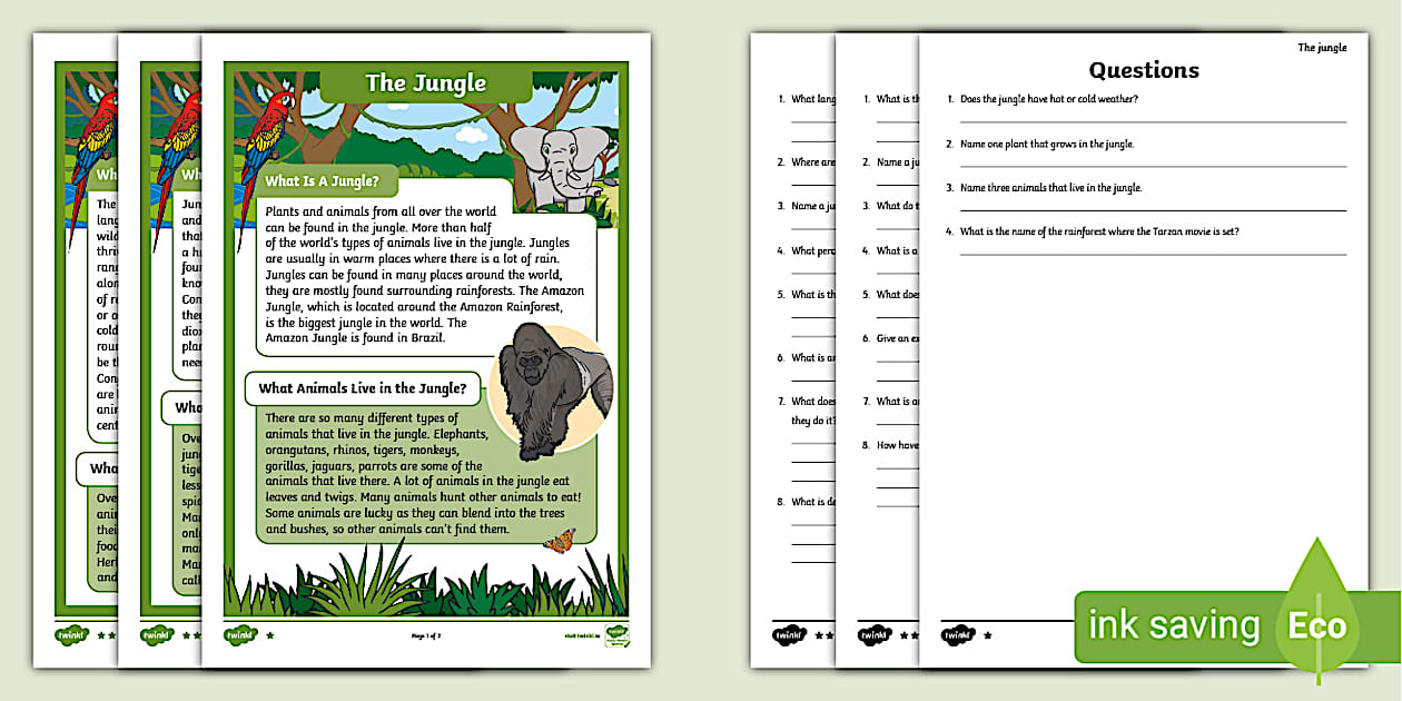 Jungle Journey Differentiated Comprehension - Twinkl