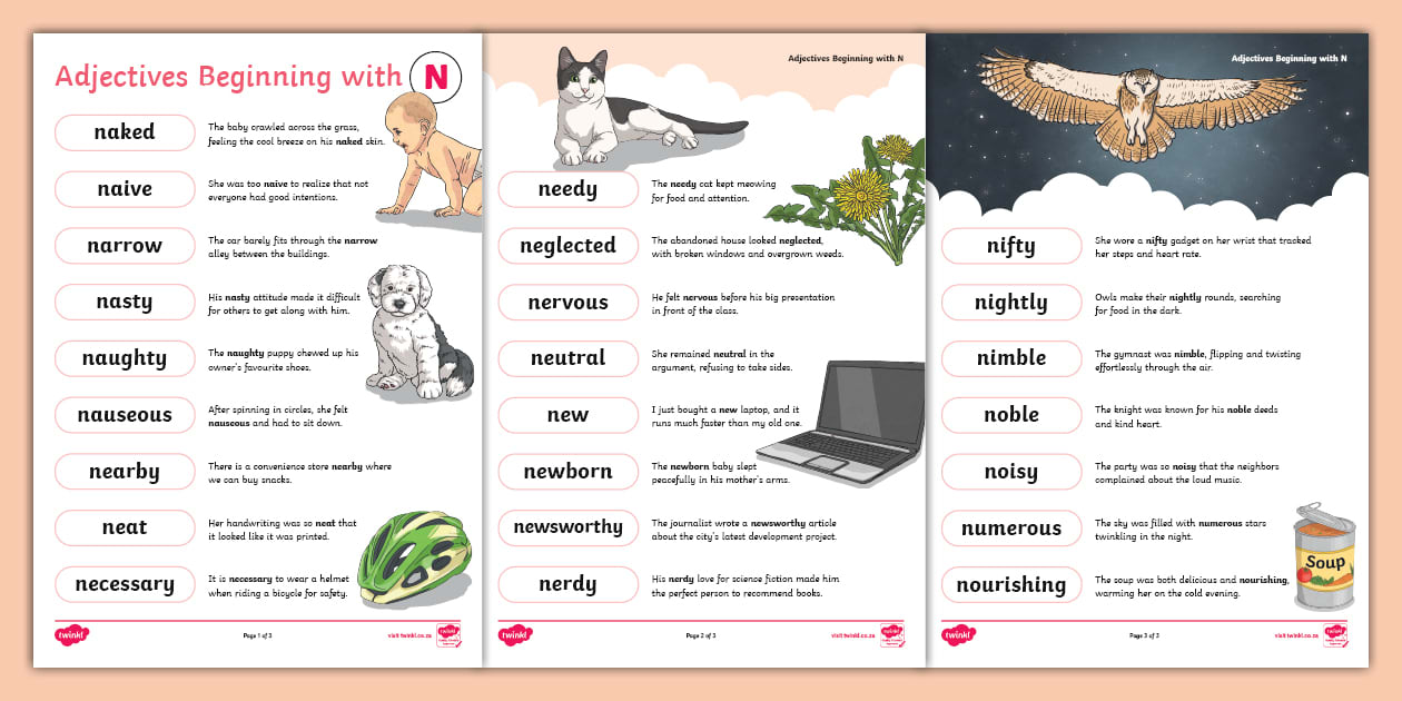 Adjectives With N - Twinkl South Africa