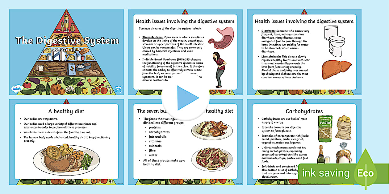 Diet And Nutrition PowerPoint Grade 9 - South Africa