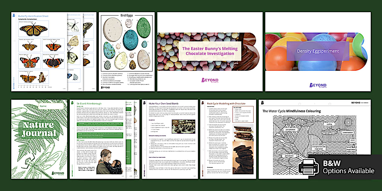 End of Term Science Activity Pack (Spring) (teacher made)