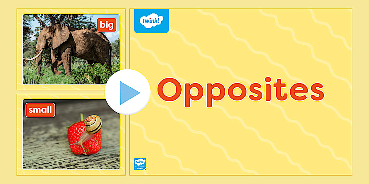 Opposites Photo PowerPoint (teacher made) - Twinkl