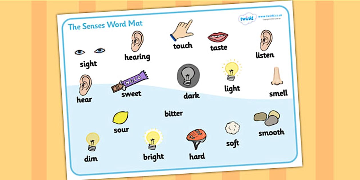 The Senses Word Mat (teacher made) - Twinkl