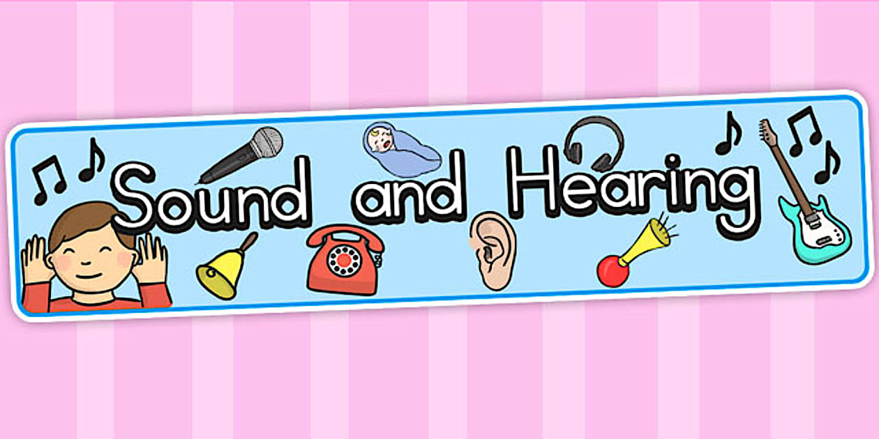 Sound And Hearing Display Banner (teacher made) - Twinkl