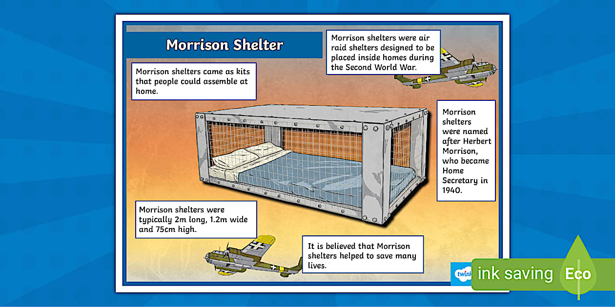 Morrison Shelter Display Poster (professor feito) - Twinkl