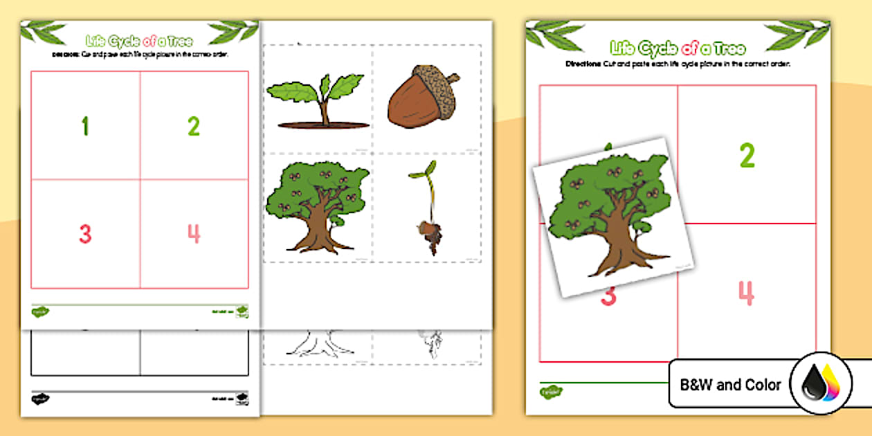 Early Childhood Life Cycle of a Tree Sequencing Worksheet