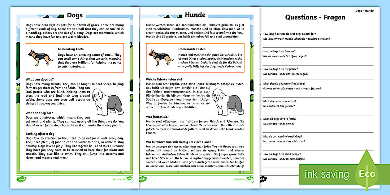Dogs Reading Comprehension Worksheet / Worksheets English/German