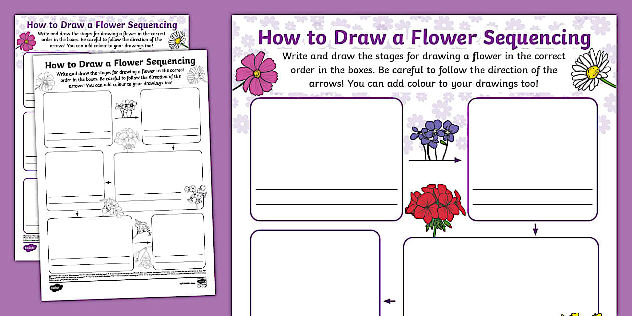How to Draw a Flower Sequencing Mind Map - Twinkl