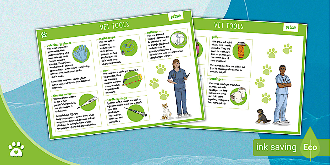 What Tools Do Vets Use? - Information Sheet - Vet Kit - Pets