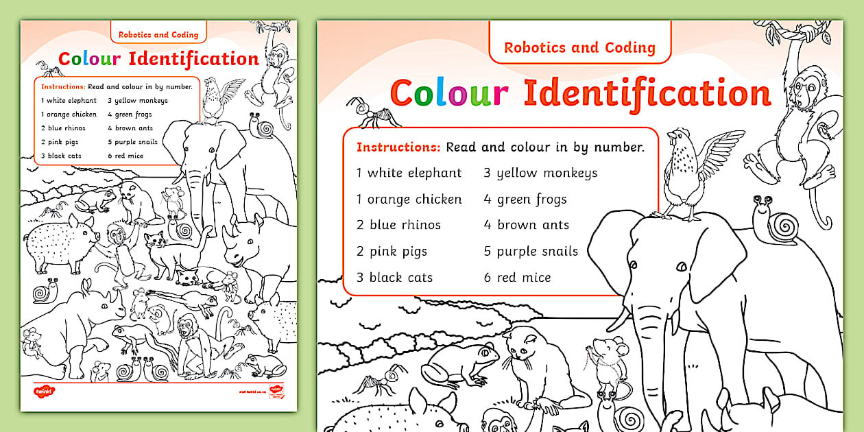Grade 1 Robotics and Coding -Colour Identification Worksheet