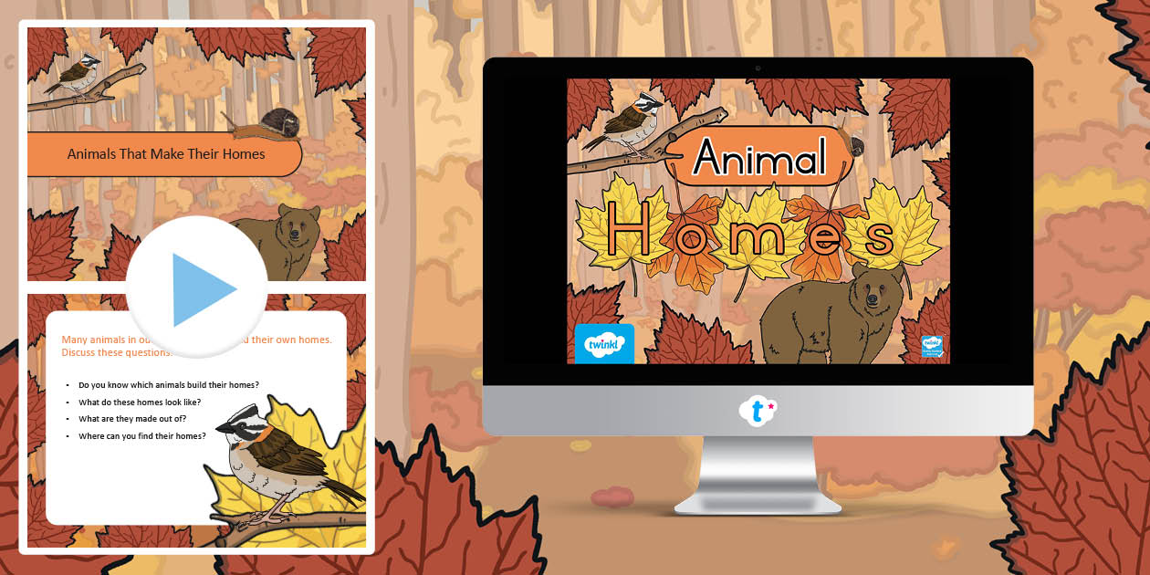 Grade 2 - Animal Homes Discussion PowerPoint - Twinkl