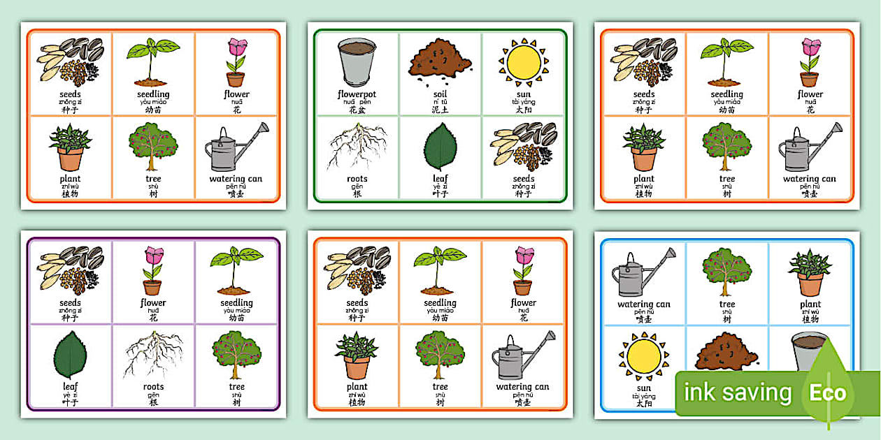 Flower Bingo Cards - English/Mandarin Chinese/Pinyin