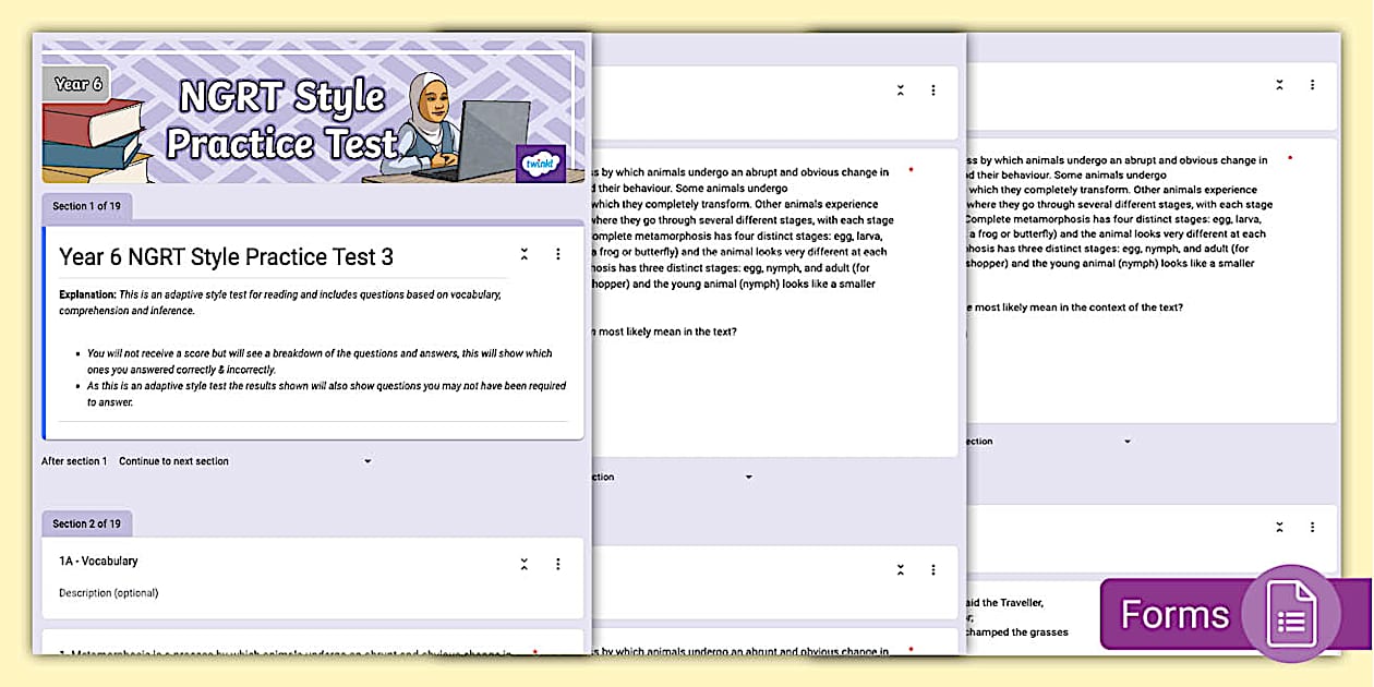 Year 6 NGRT Style Practice Test 3 (teacher made) - Twinkl