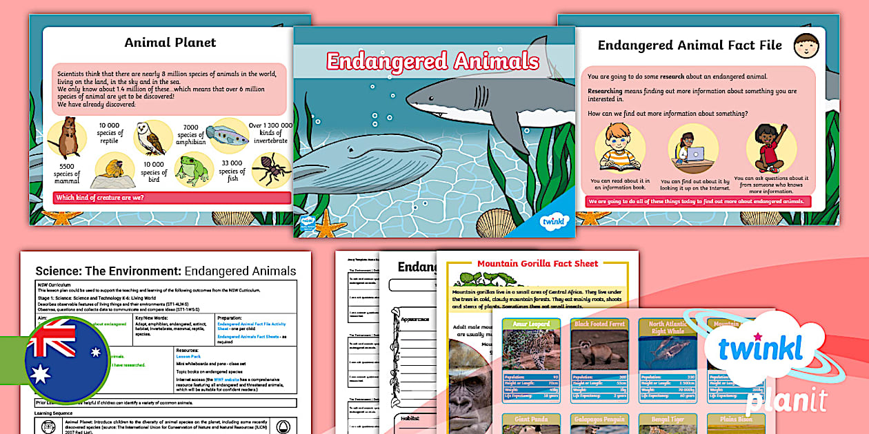 Year 2 Science The Environment Lesson 6 Endangered Animals