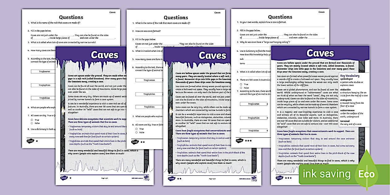 Caves Differentiated Reading Comprehension (teacher made)