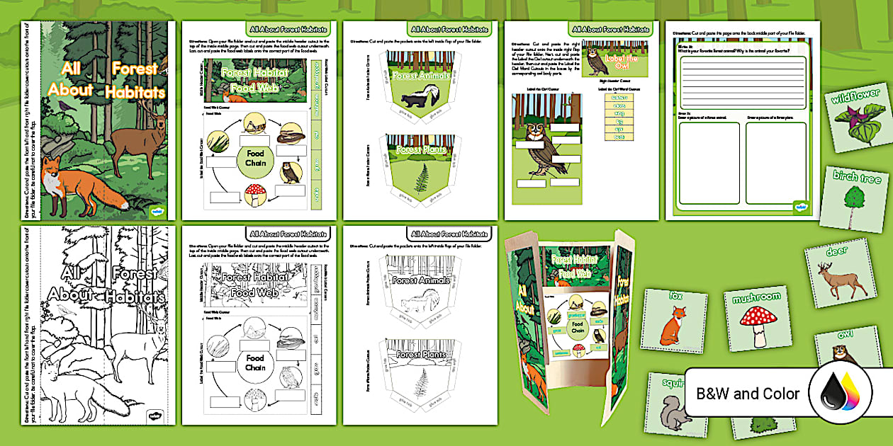 All About Forest Habitats Trifold File Folder Activity