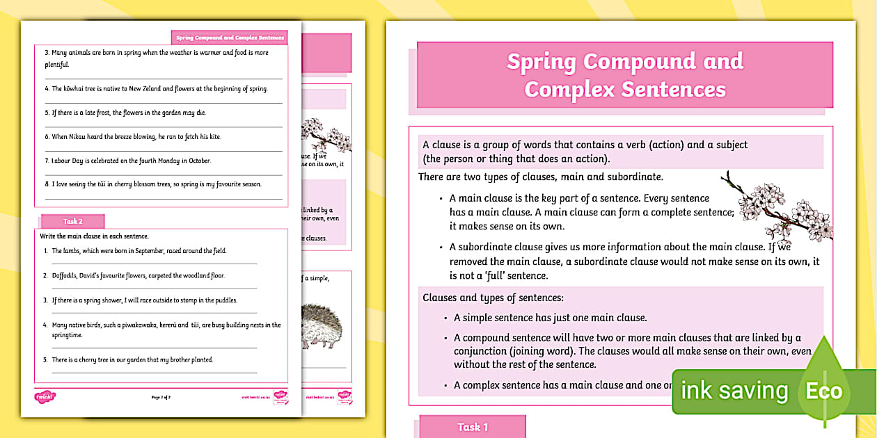 NZ Spring Simple, Compound and Complex Sentences Activity