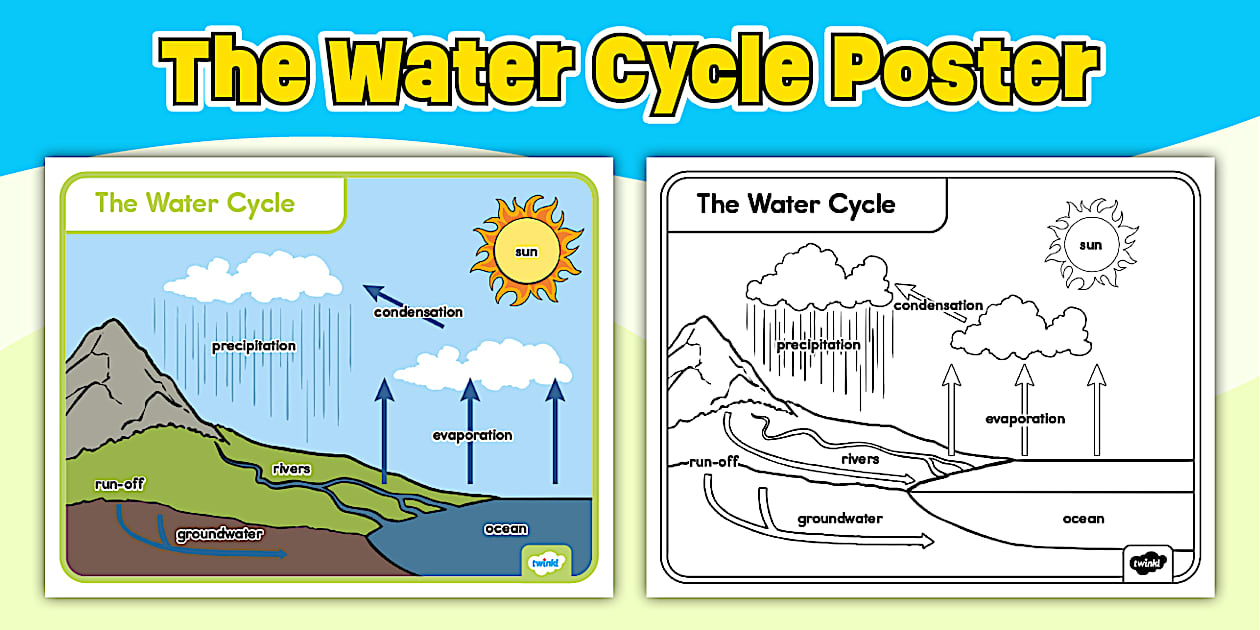 The Water Cycle Poster for 1st-3rd Grade