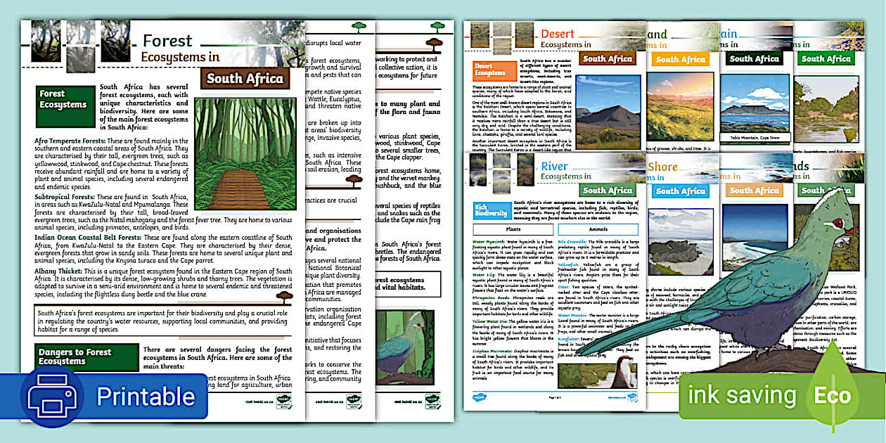 Ecosystems in South Africa Pack I Resource I Twinkl ZA