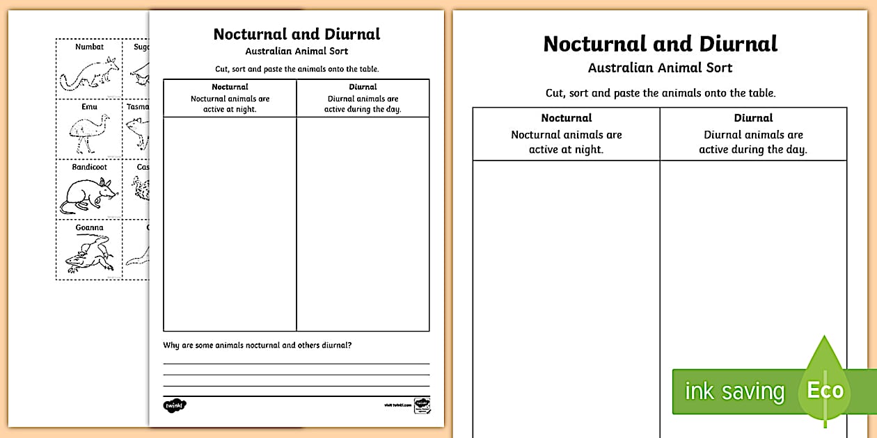 Nocturnal and Diurnal Australian Animals Worksheet / Worksheet