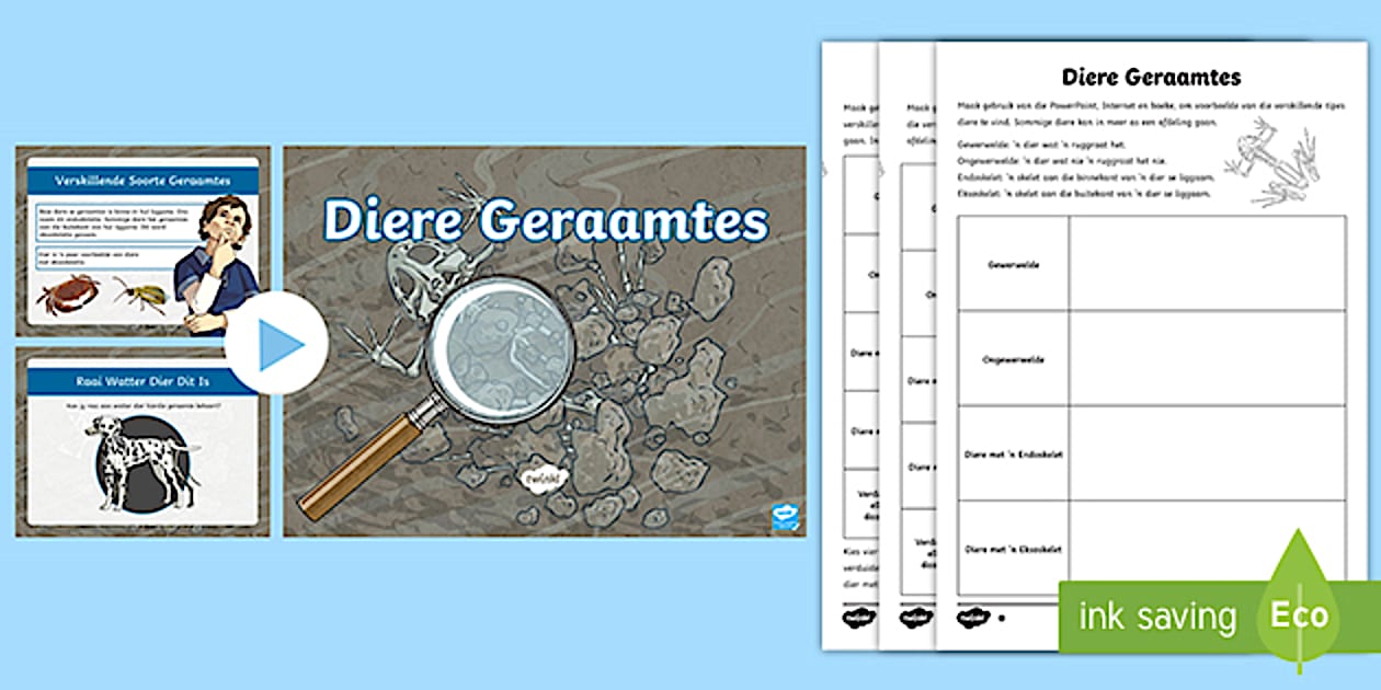 Diere Geraamtes Pakket (teacher made) - Twinkl