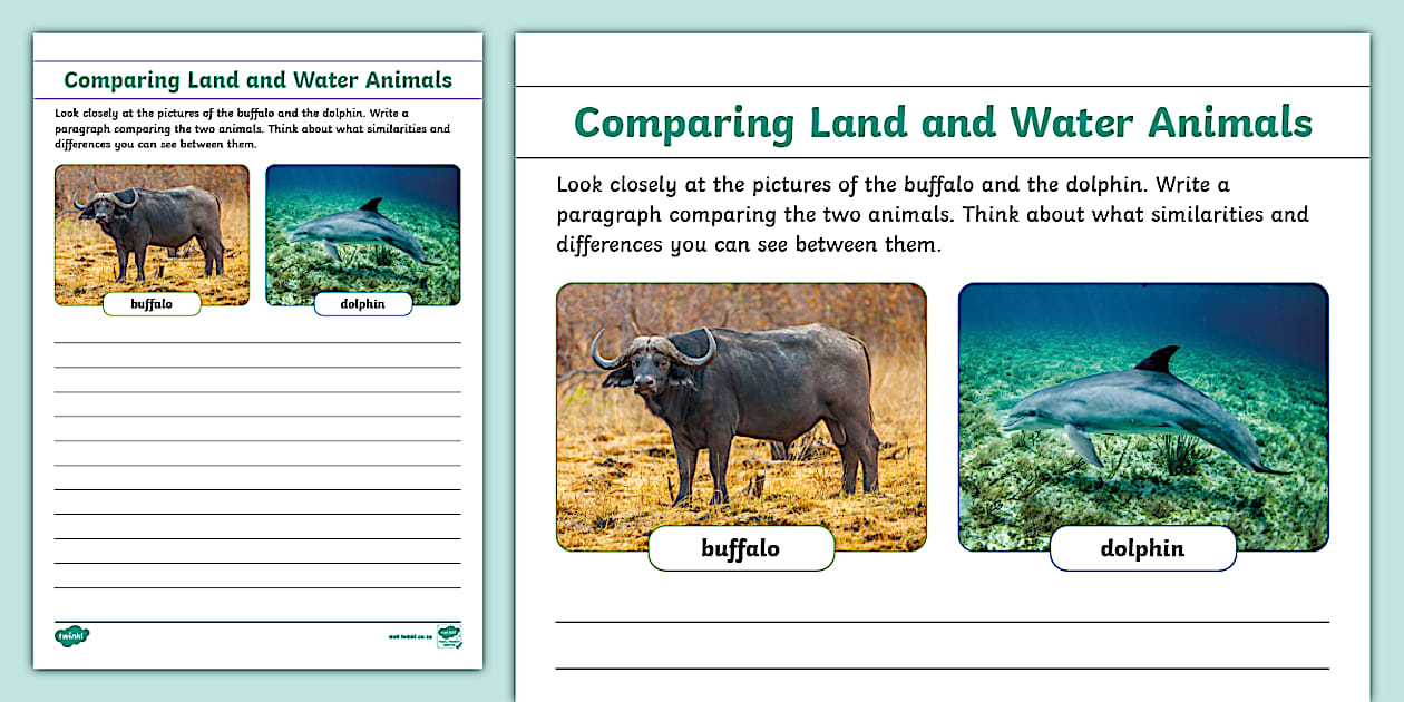 Comparing Land and Water Animals Worksheet - Twinkl