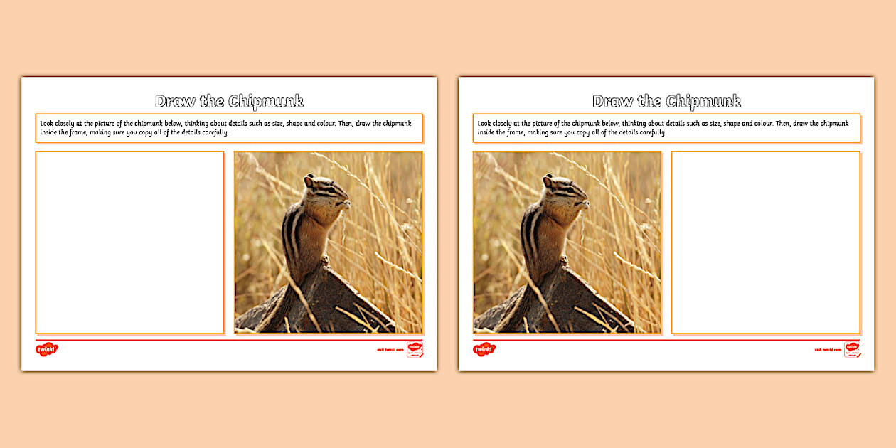 Draw the Chipmunk Worksheet (teacher made) - Twinkl