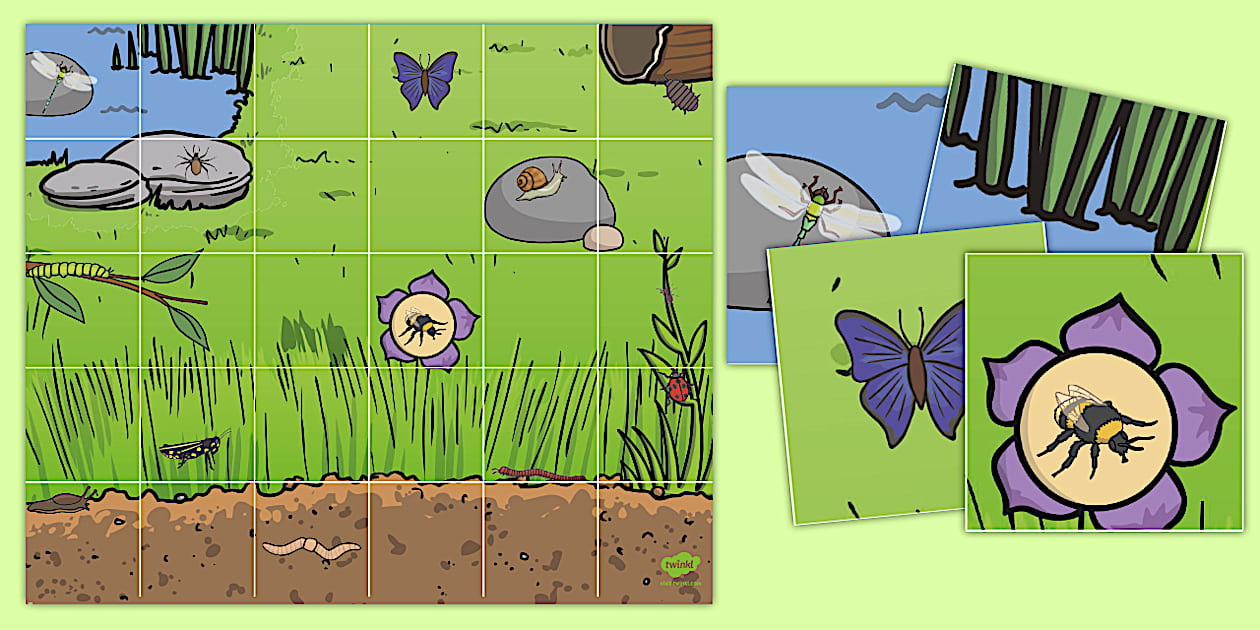 Minibeasts Mat | Bee-Bot Activities for EYLF | Twinkl