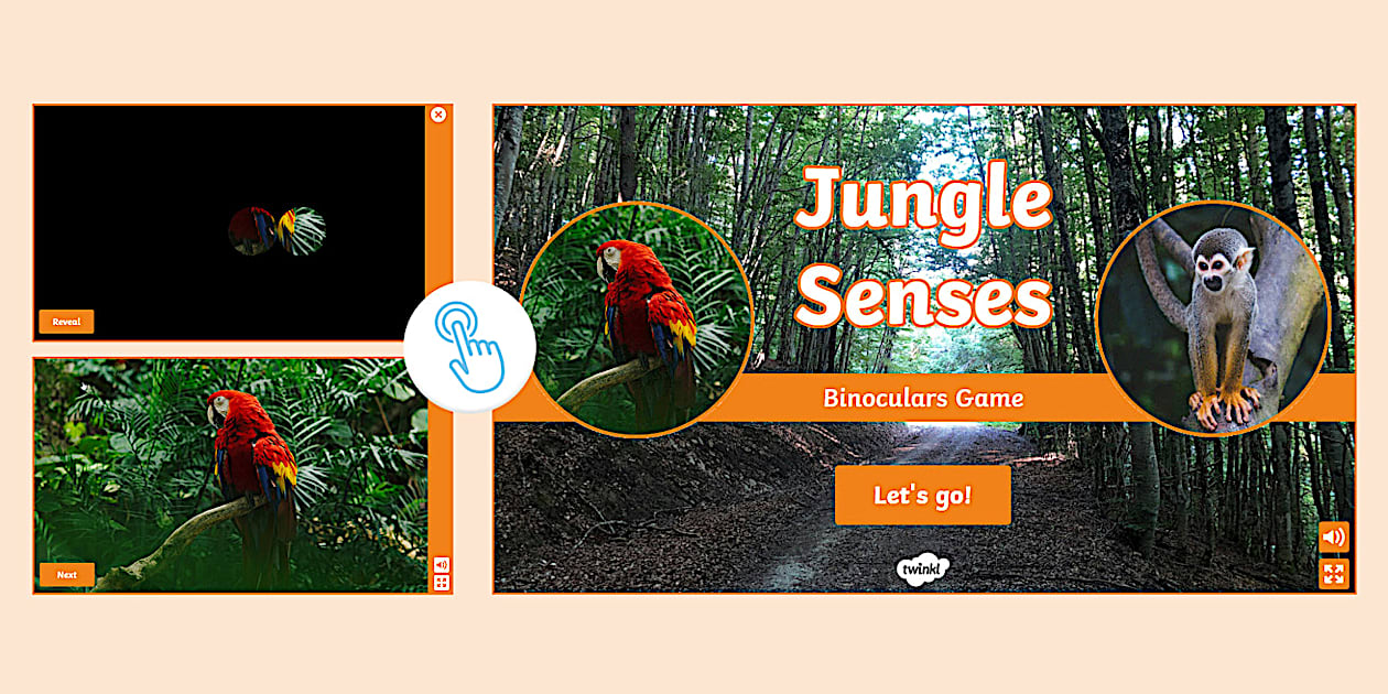 Jungle Senses Interactive Binoculars Game (Teacher-Made)