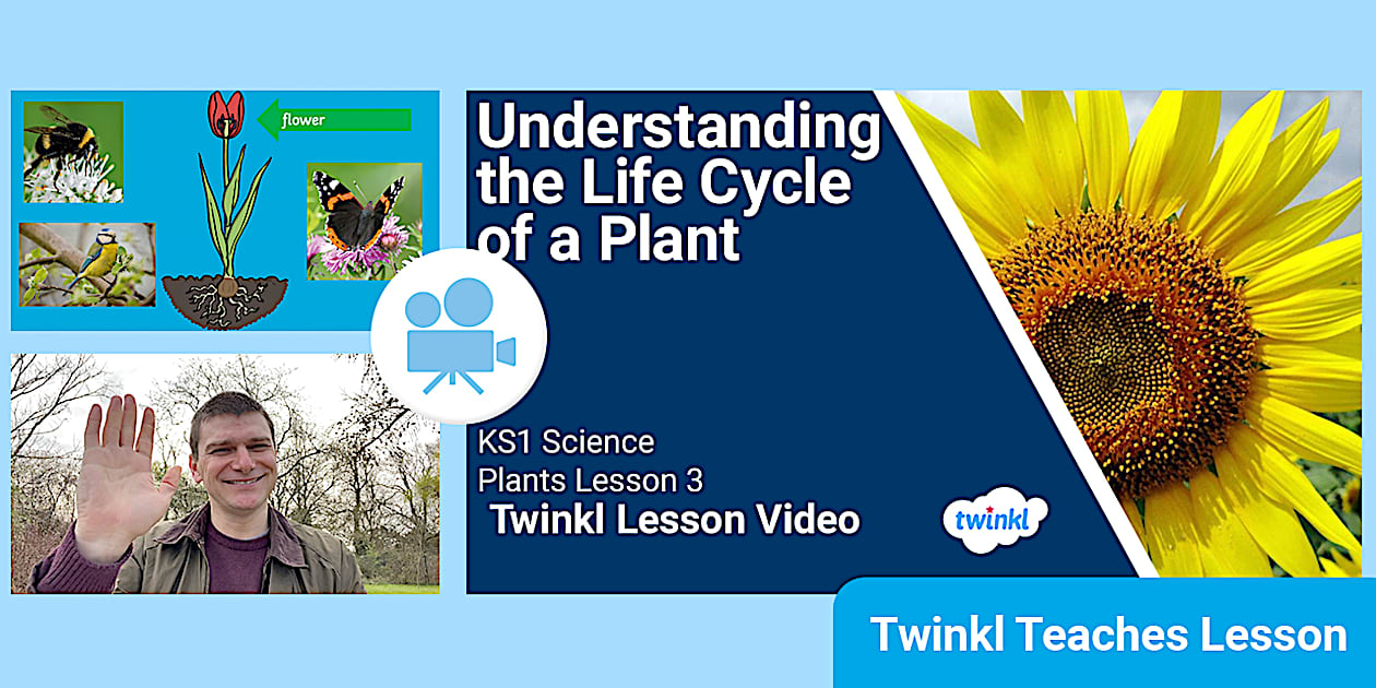 KS1 (Ages 5-7) Science: Life Cycle of a Plant Video Lesson
