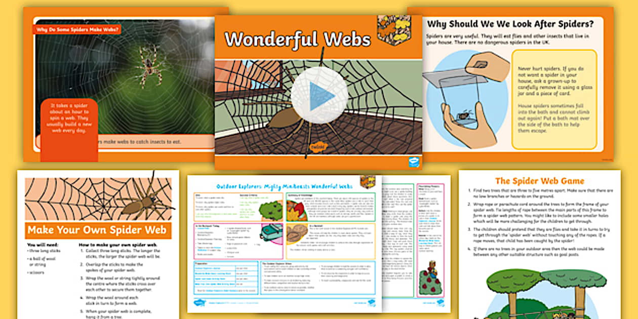 Outdoor Explorers Autumn EYFS Spiders Lesson - Spider Webs