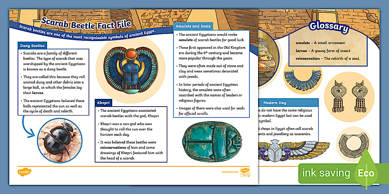 Scarab Beetle Fact File