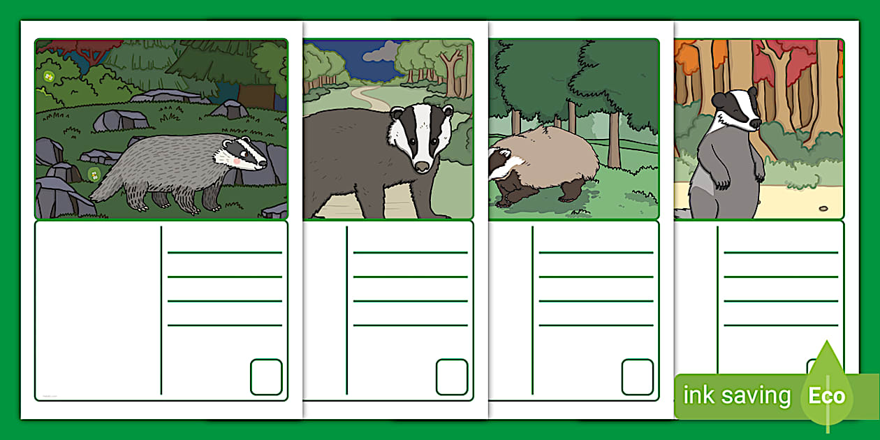 A Collection of Beautiful Badger Postcards | Twinkl | KS1