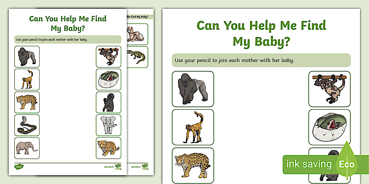 Can You Help Me Find My Baby?