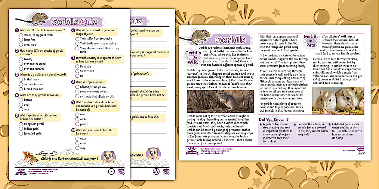 KS2 Gerbil Fact File and Quiz (creat de profesori) - Twinkl