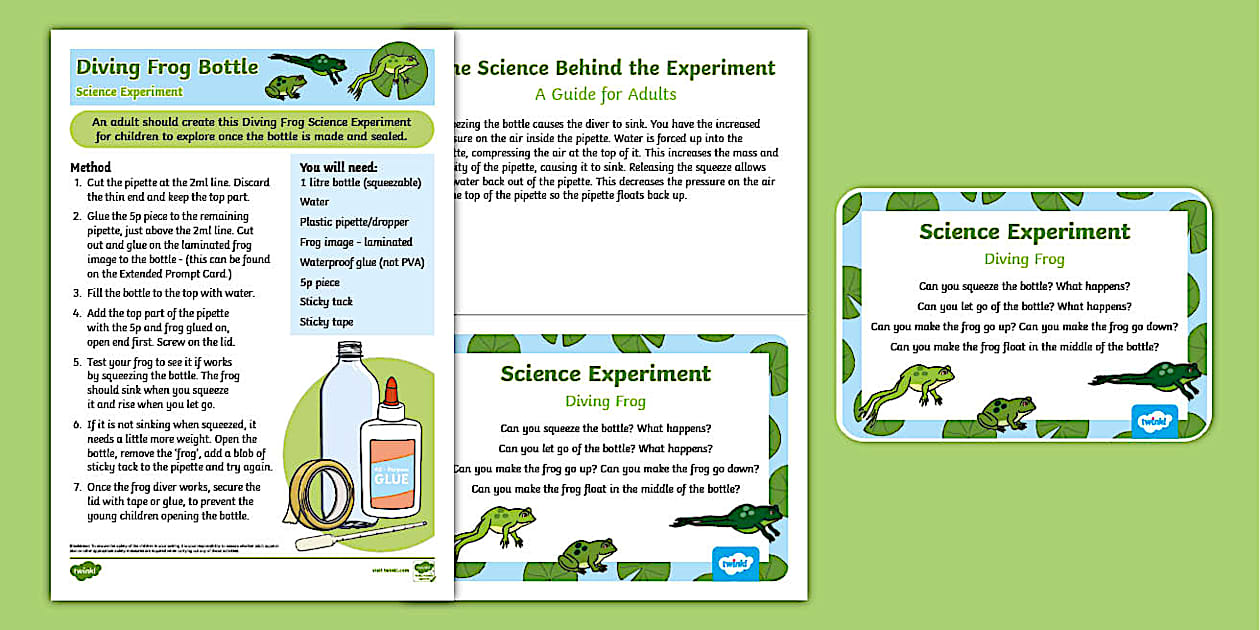 EYFS Diving Frog Science Experiment and Prompt Card Pack