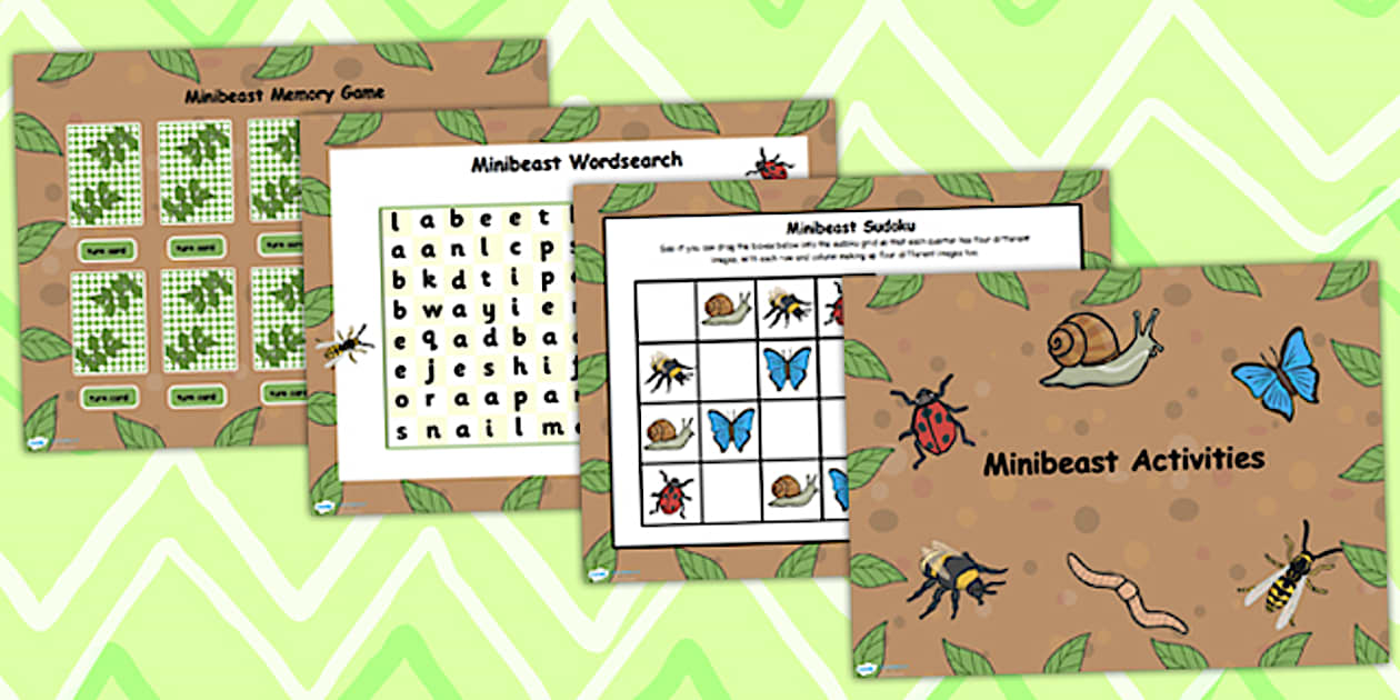 Minibeast Interactive Whiteboard Flipchart Activity Pack - insect