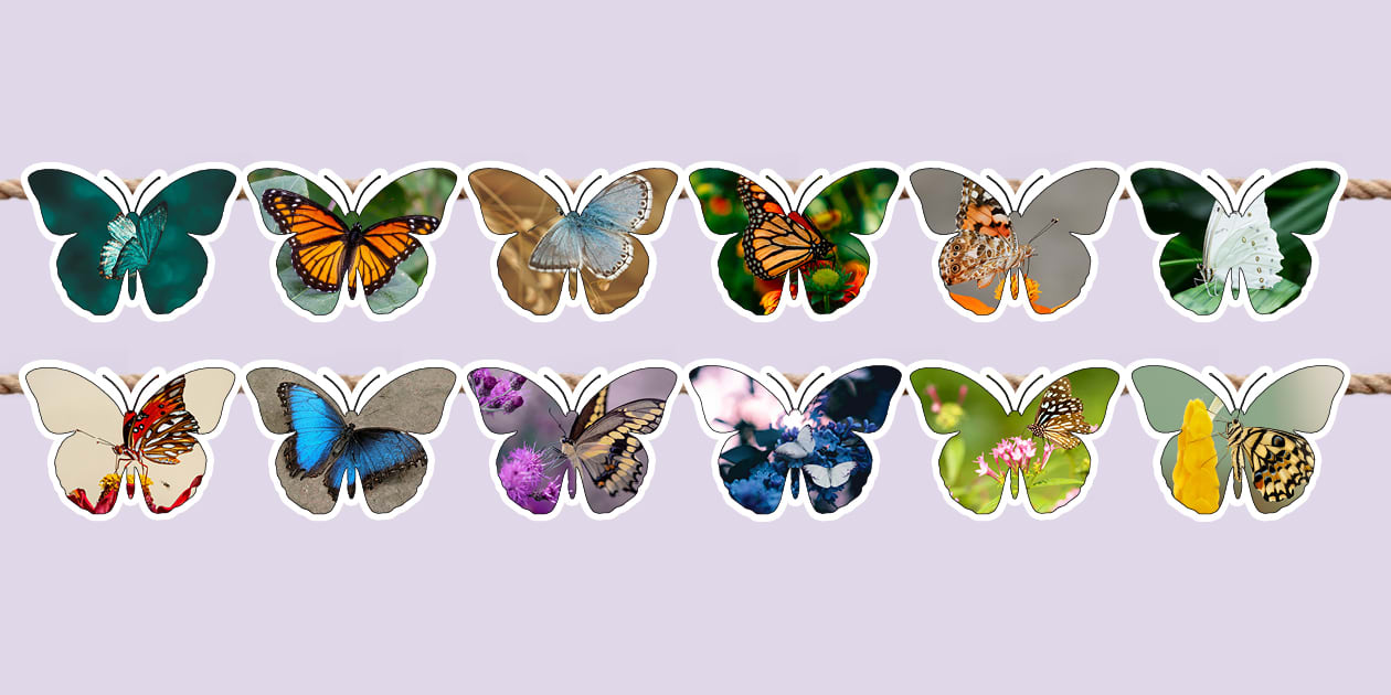 Butterfly Picture Bunting (teacher made) - Twinkl