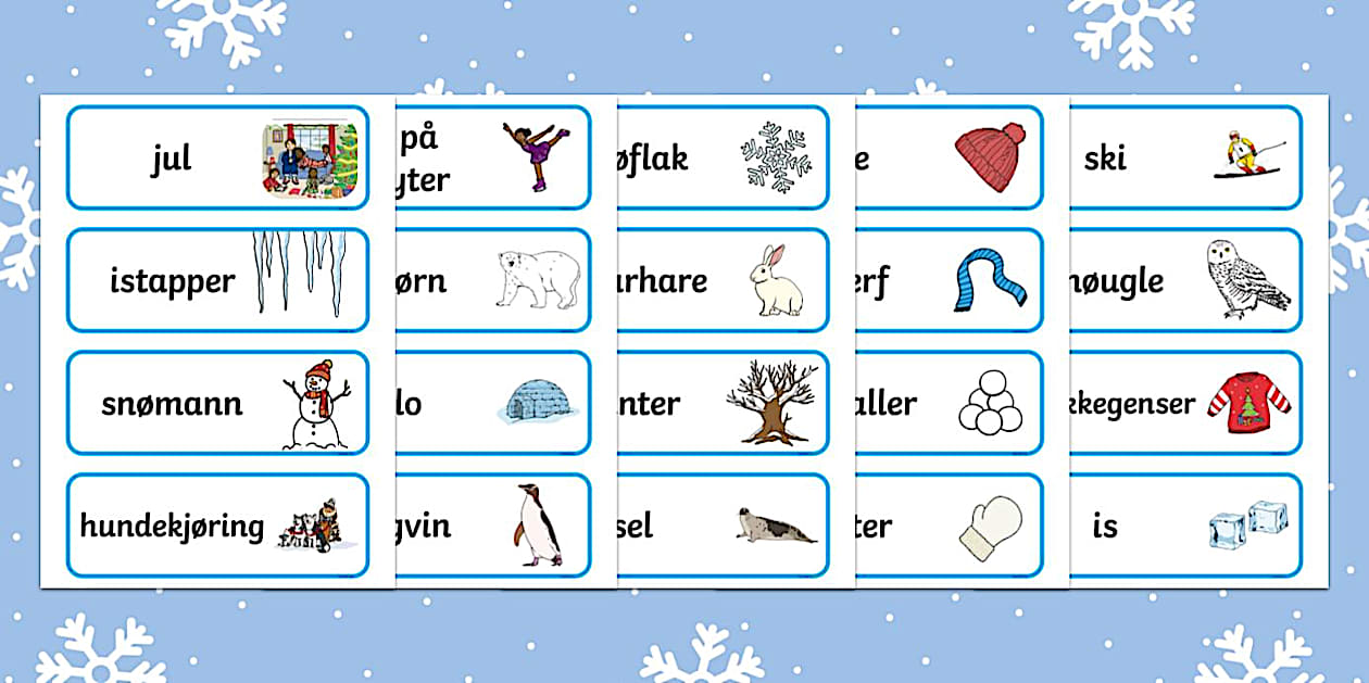 Vintervokabular | Ord- og begrepskort (teacher made)