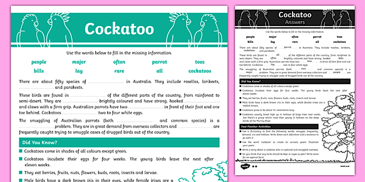 Australian Animals Years 3-6 Cockatoo Differentiated Cloze Passage ...