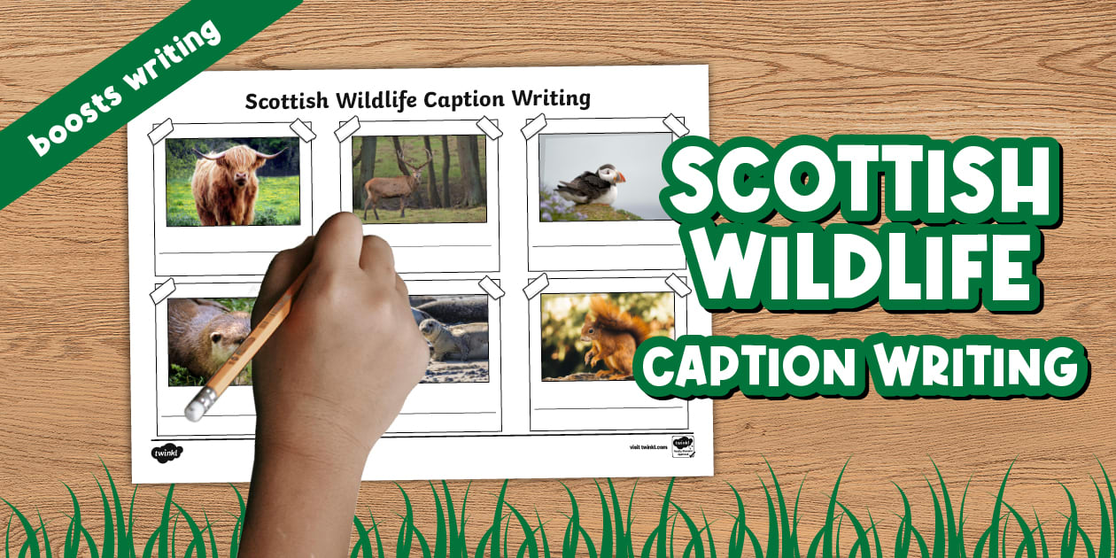 Scottish Wildlife Caption Writing Activity Sheet