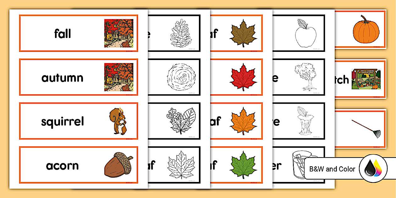 Fall Season Words | Prekindergarten Resource | Twinkl USA