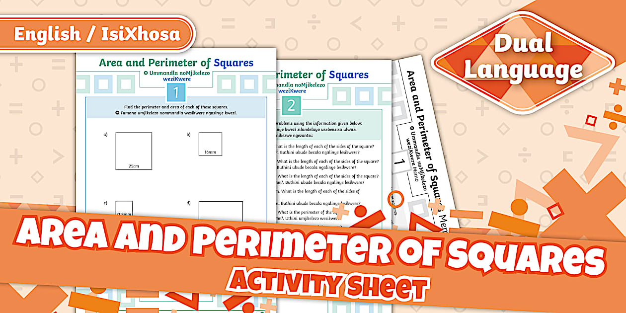 Grade 7 Area and Perimeter of Squares Activity Sheet isiXhosa/English (CAPS