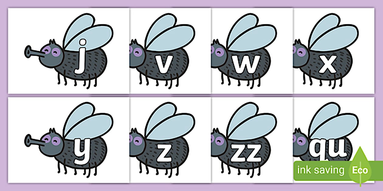 Cursive Phase 3 Sounds on Flies Posters (teacher made)