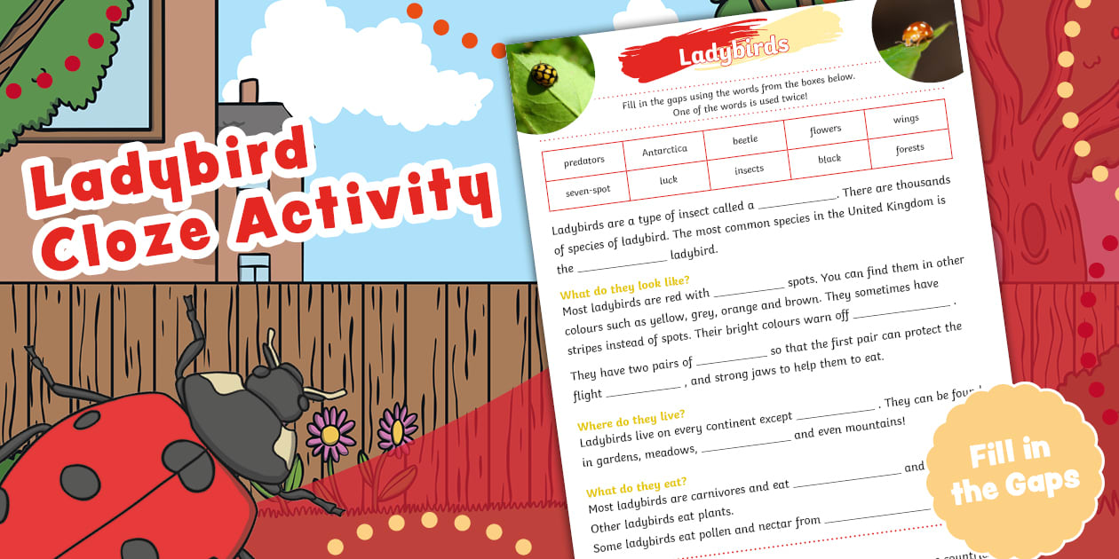 Ladybird Cloze Activity - KS1