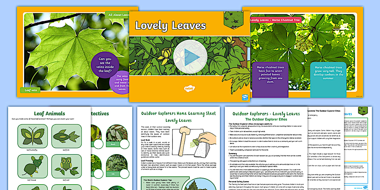 Outdoor Explorers EYFS Summer Lovely Leaves Lesson Pack