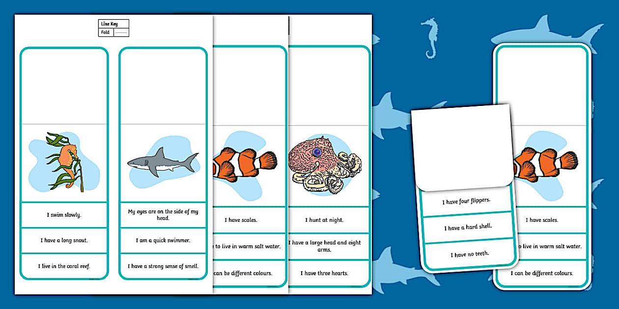 What Am I? Guess the Sea Animals Game (teacher made)