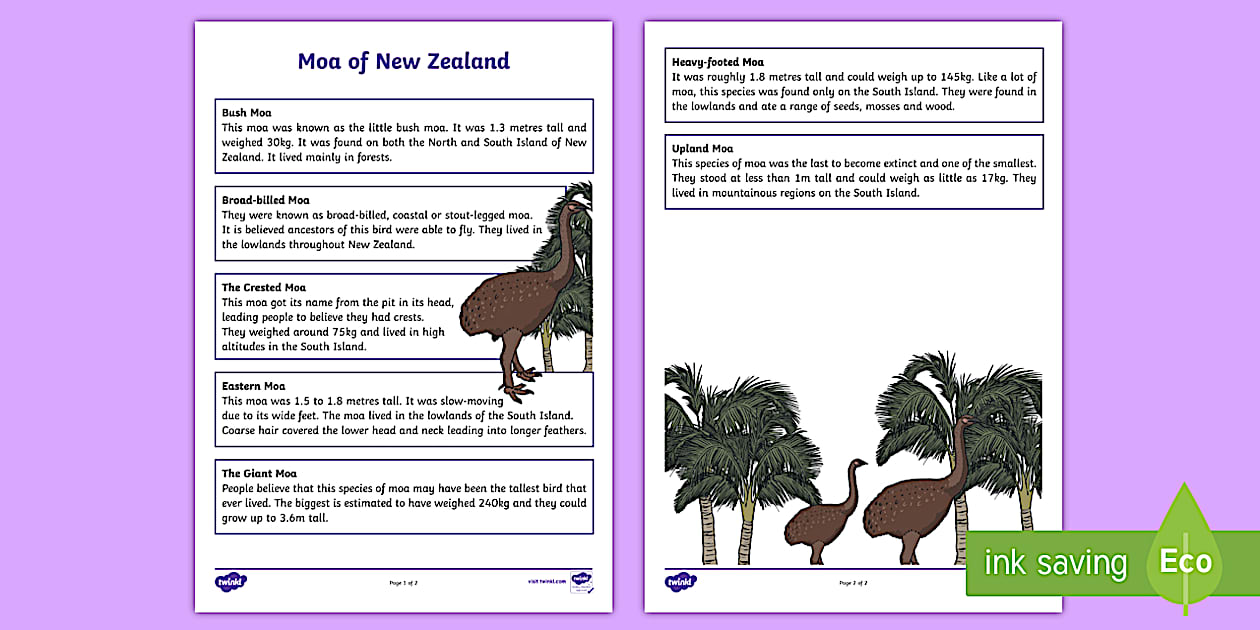 When did the moa bird go extinct? | Moa of New Zealand