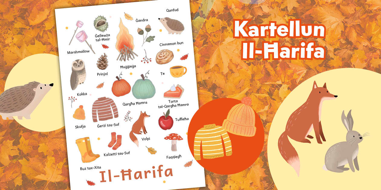 Kartellun I Il-Ħarifa