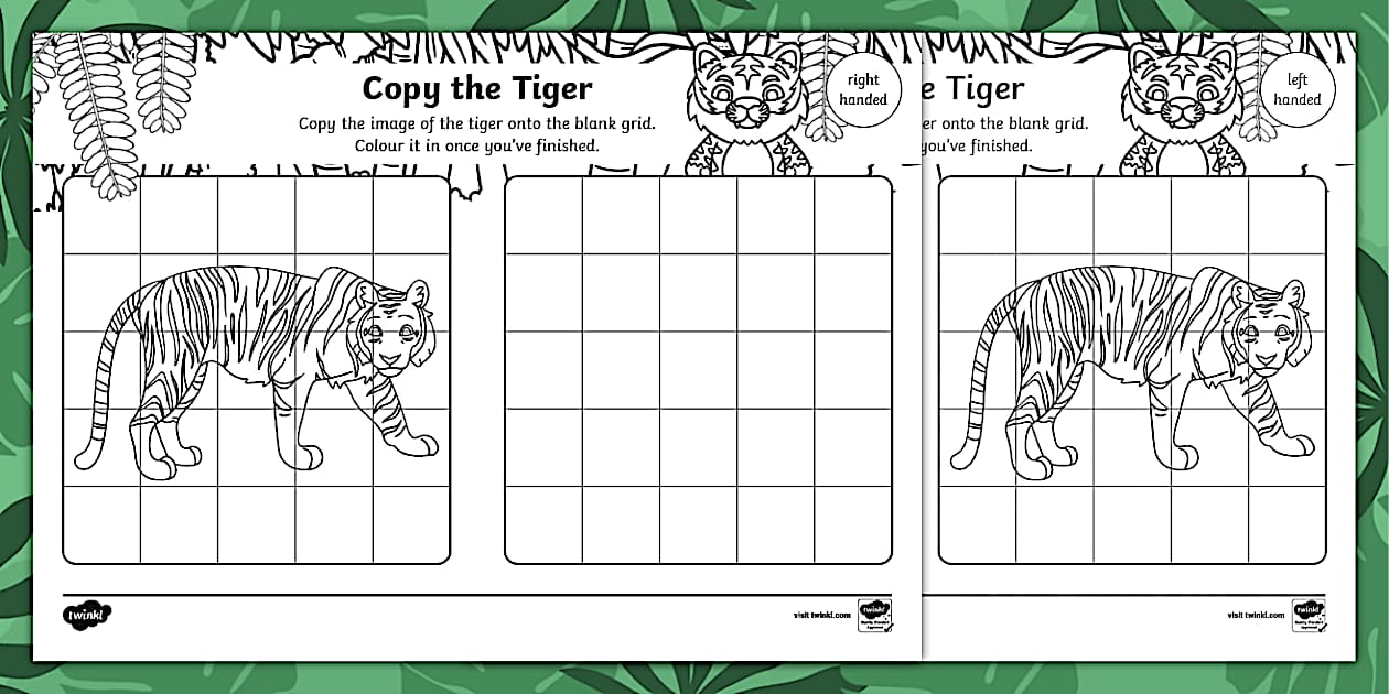 Copy the Tiger Worksheet (teacher made) - Twinkl